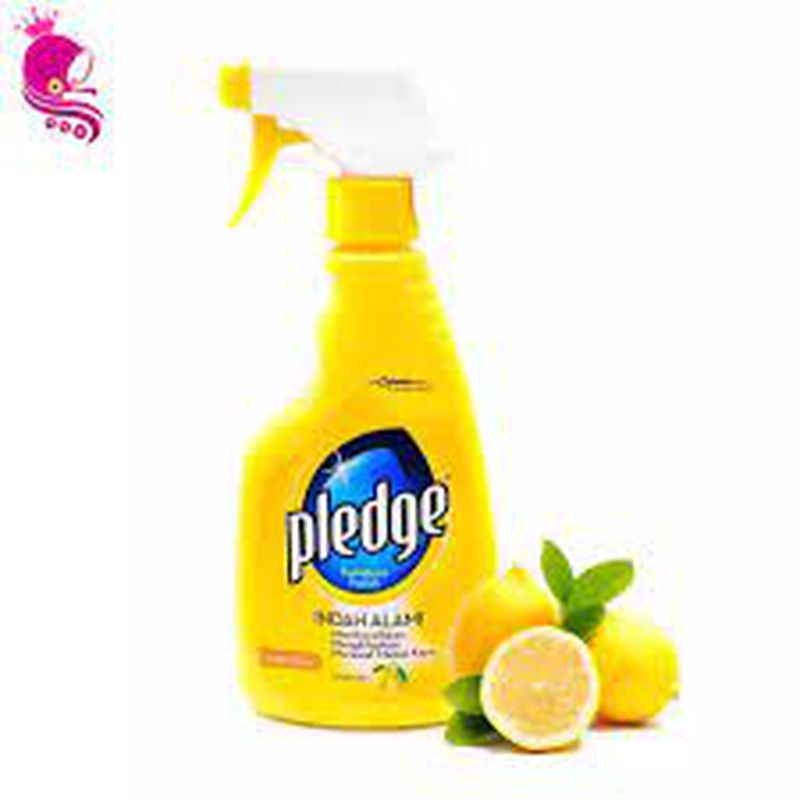 Plege (Bahan Pembersih Meubelair)