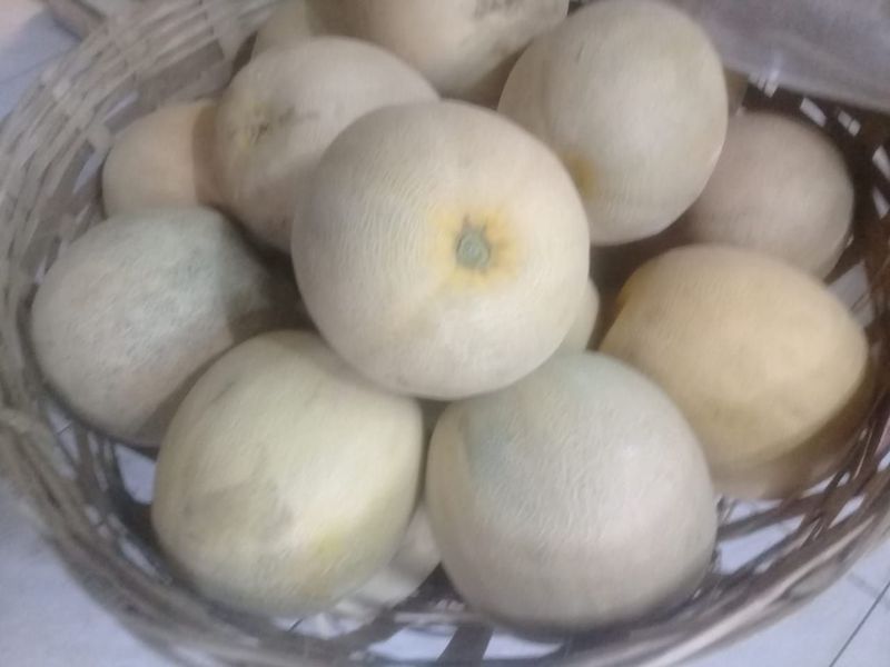 melon super - 1KG