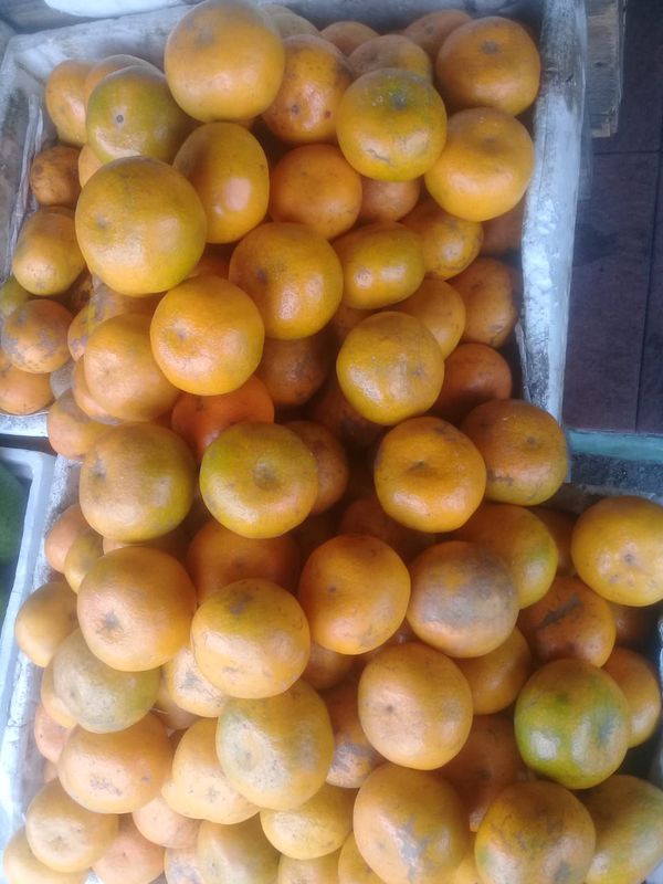 jeruk medan brastagi super - 1KG