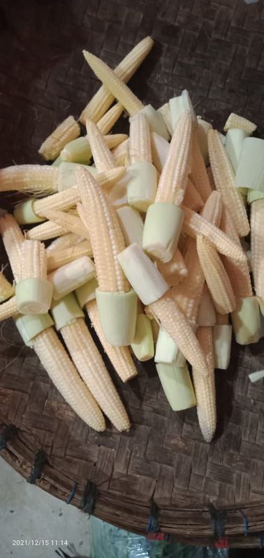 jagung muda/ putren