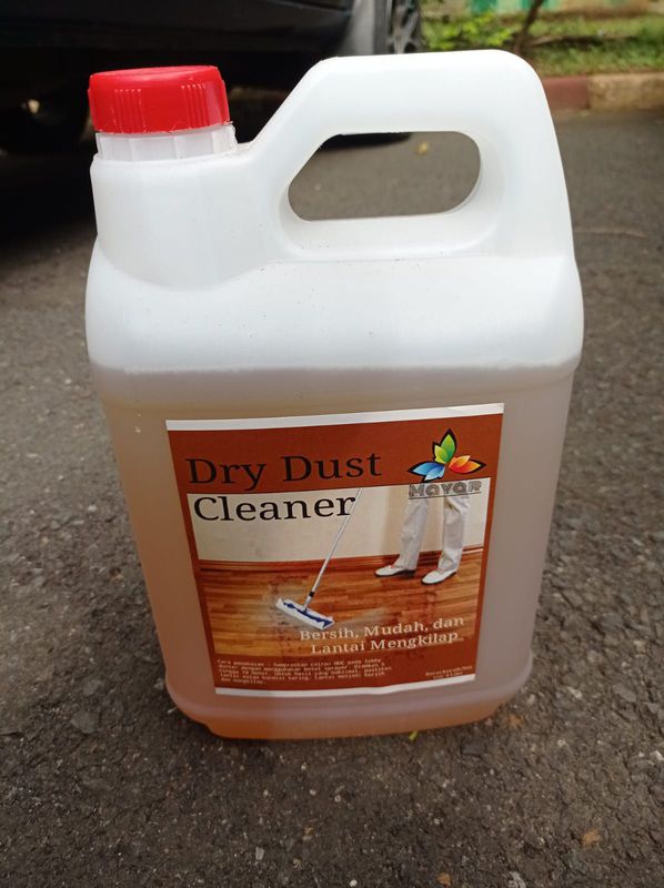 Dry dust cleaner