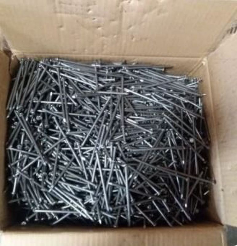 paku biasa / paku triplek 4cm