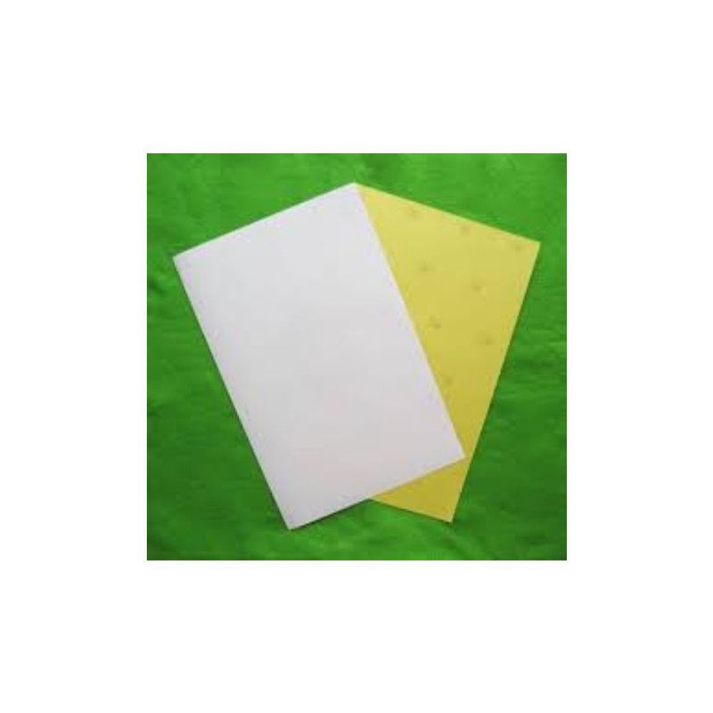 Kertas stiker camel (TP2RI ) 17x23 cm