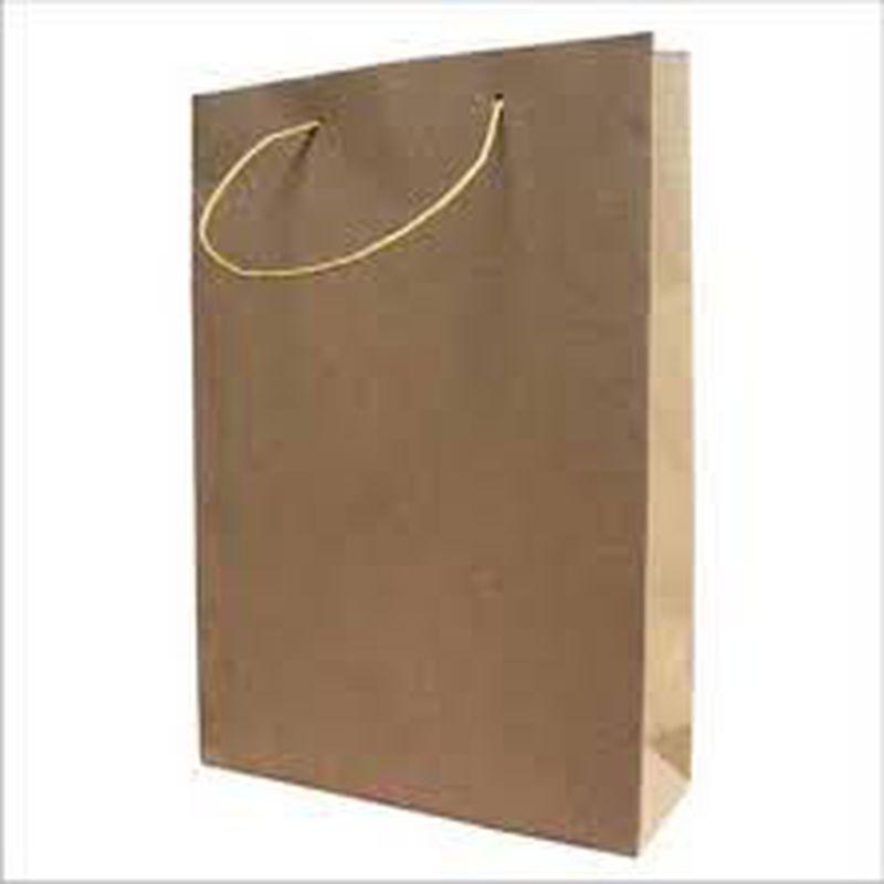 Paper Bag Karton Coklat Polos Bahan Karton / Goodie Bag / Kantong ...