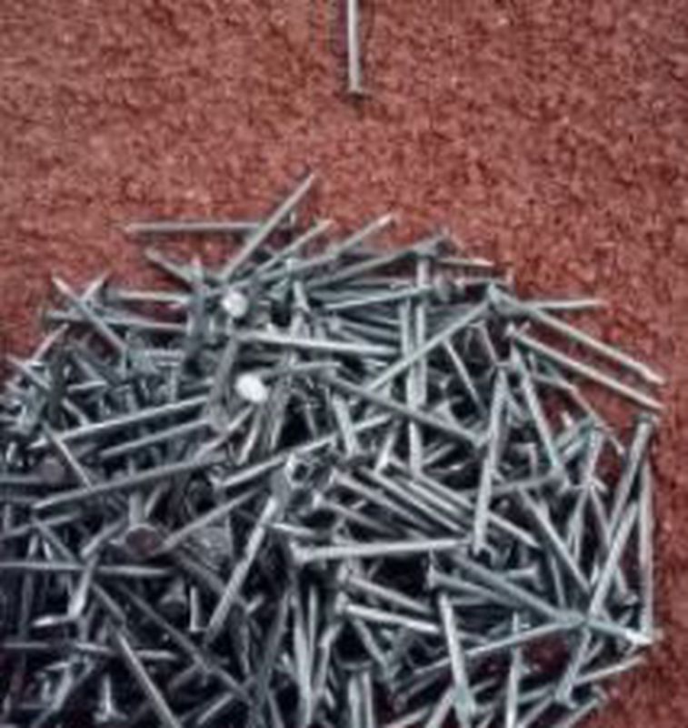 Paku Ukruan 1 - 3 cm