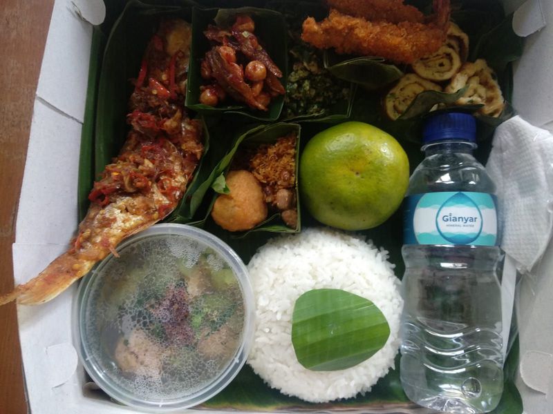 Rayunan Ida Pedanda (IKAN)