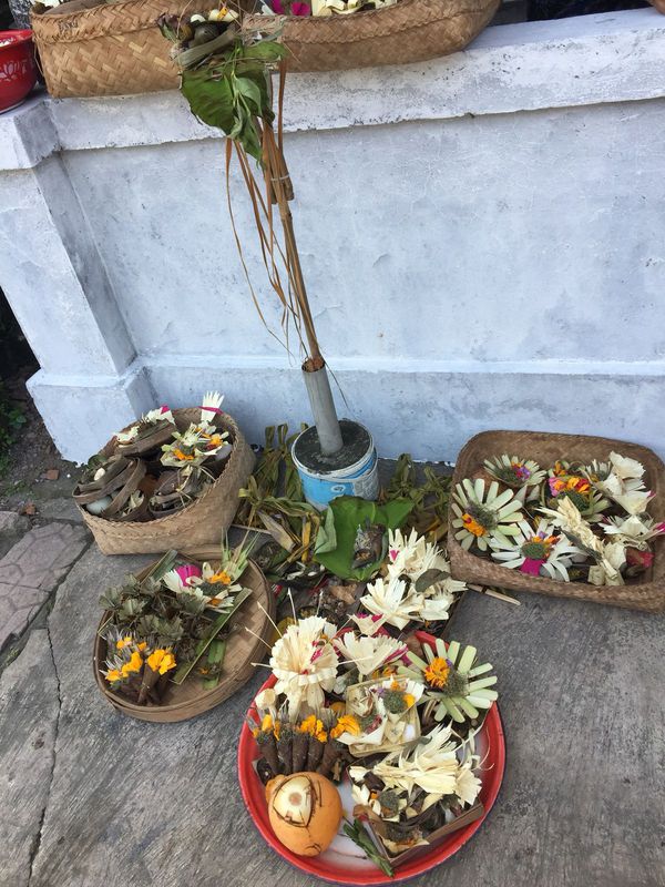 Banten Caru - Putih Siungan