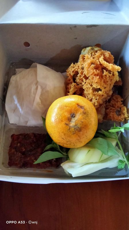 PAKET NASI BOX 1