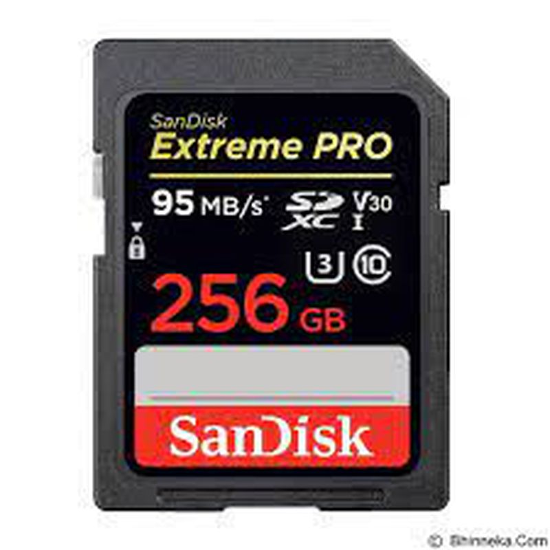 Kartu memory SDXC 256 GB