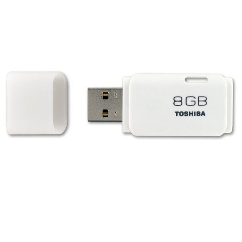 Flash Disk 8 GB 2.0
