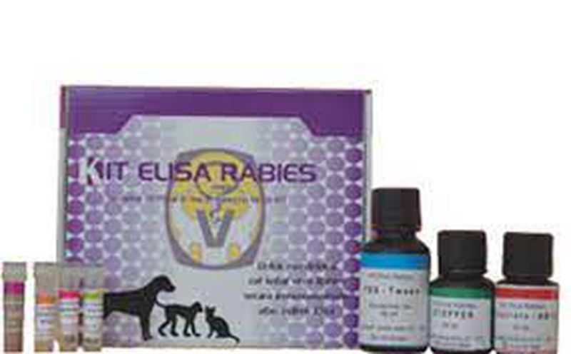 KIT ELISA RABIES