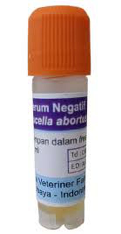 Serum (-) Brucella PUSVETMA