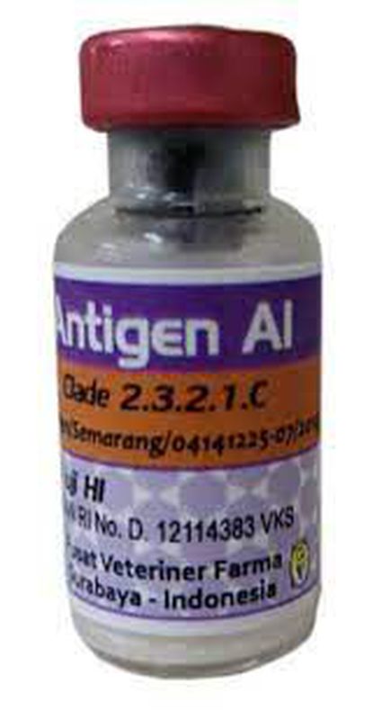 Antigen AI Clade 2.3.2