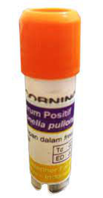 Serum (+) Pullorum PUSVETMA