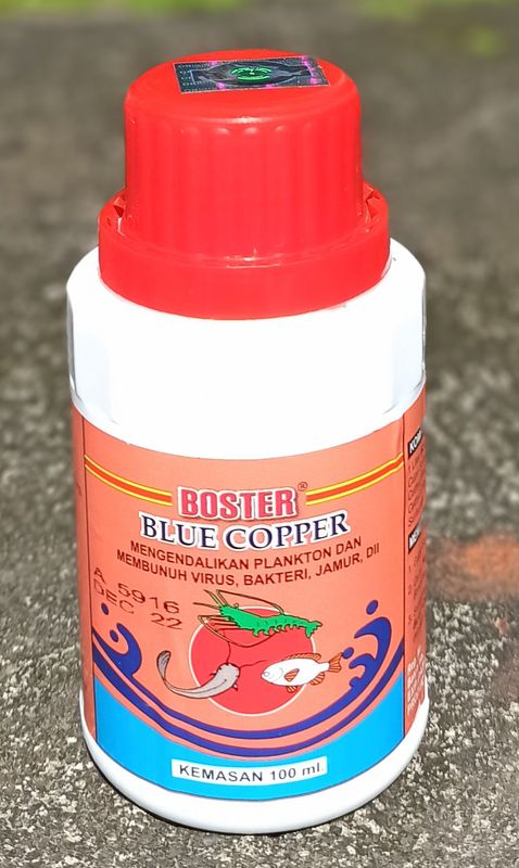 BOSTER BLUE COPPER