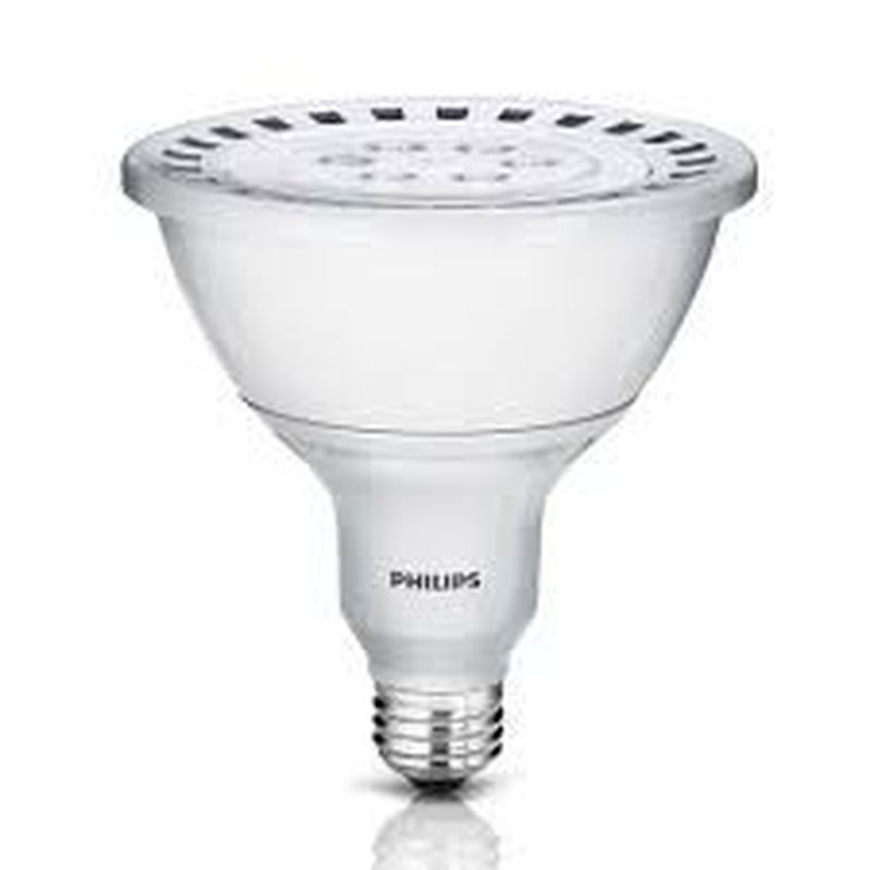 PHILIPS PAR38 80 WATT