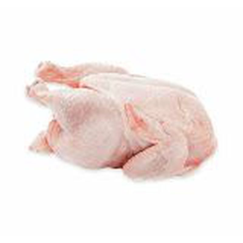 Ayam Potong/Broiler
