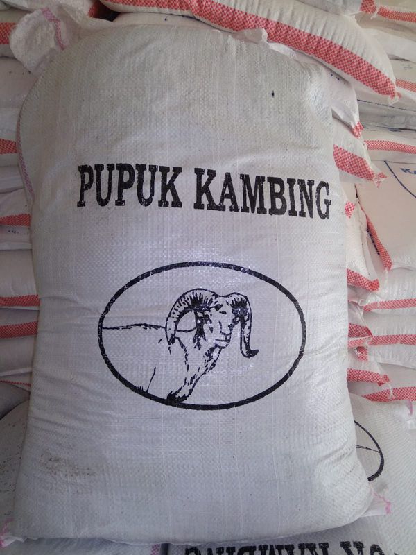 Pupuk Kompos