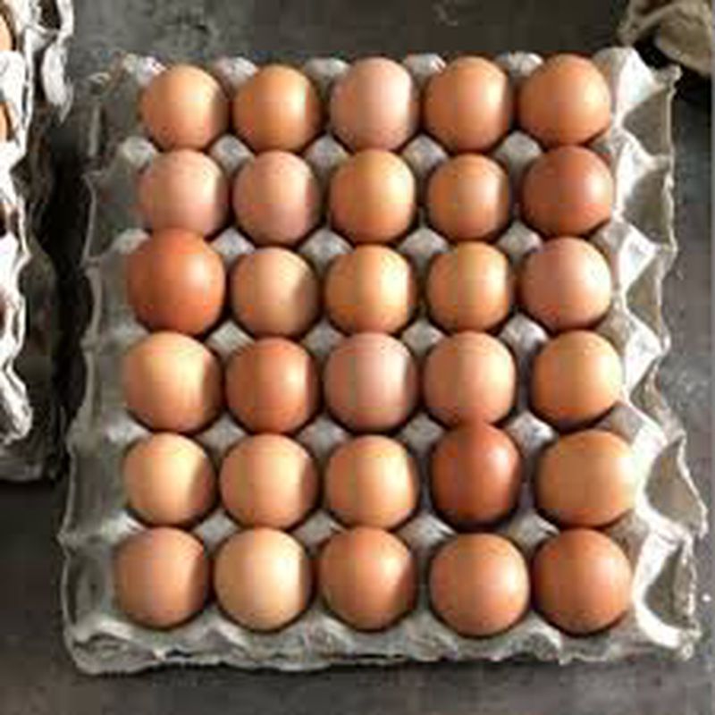 Telur ayam 1 Rak/Pak