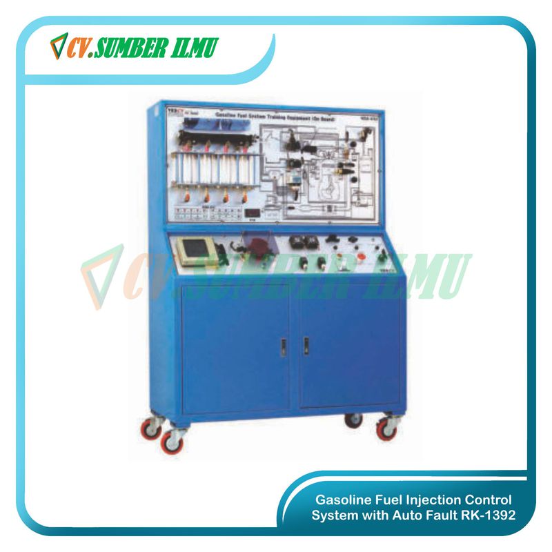 Gasoline Fuel Injection Control System with Auto Fault