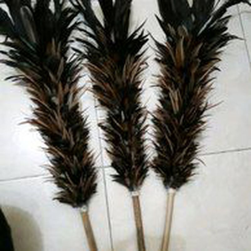 Kemoceng Bulu ayam