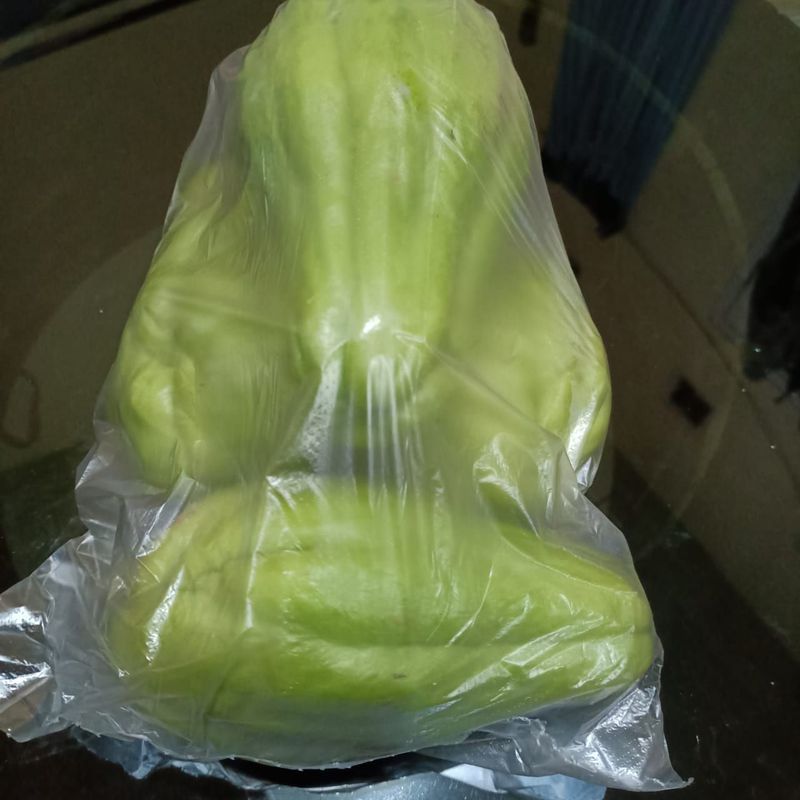 Labu Siam Besar (per biji)