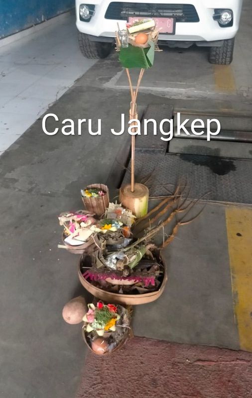 Caru Ayam Brumbun Tetandingan Manca Warna
