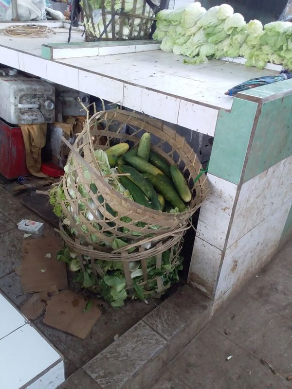 SAYUR BOX