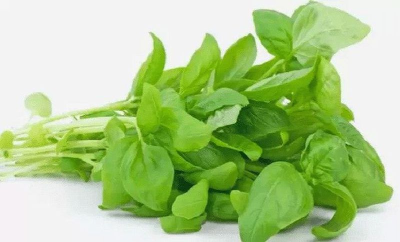 Sayur bayam