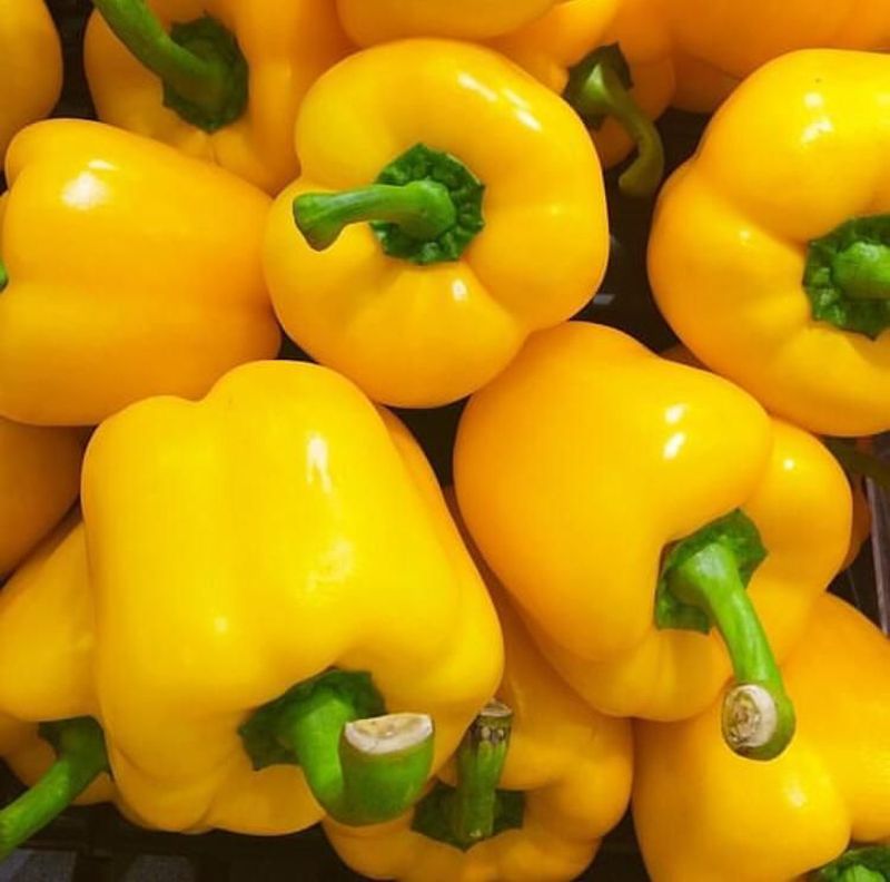 Paprika Kuning