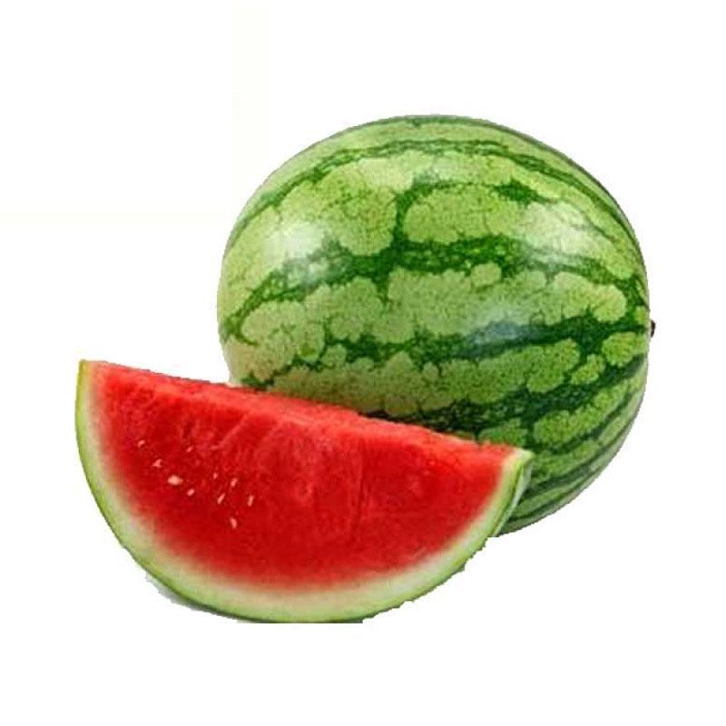 Semangka