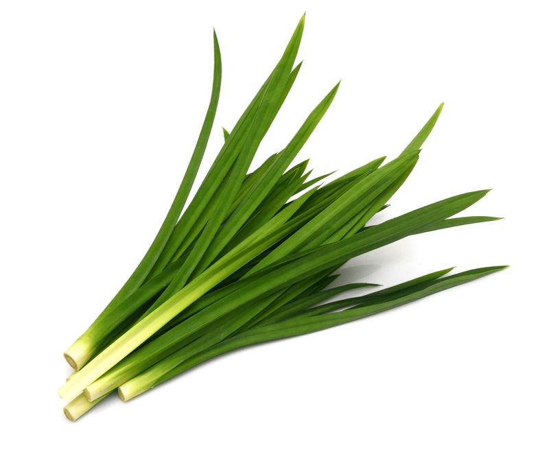 DAUN PANDAN