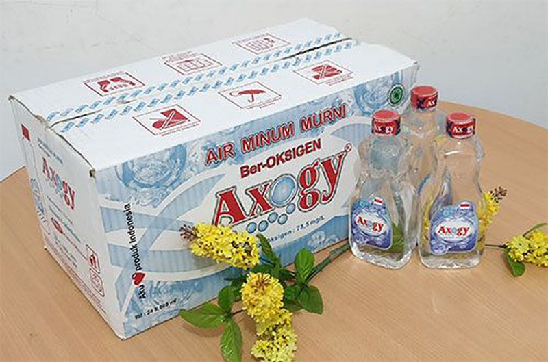 Air Axogy (Air Minum Kesehatan) Botol 500 ml