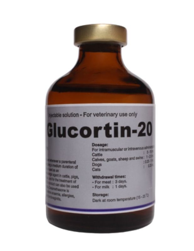 GLUCORTIN 20 inj