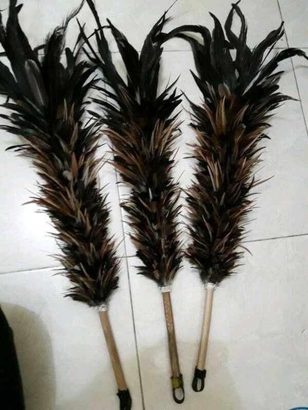 SAPU BULU AYAM