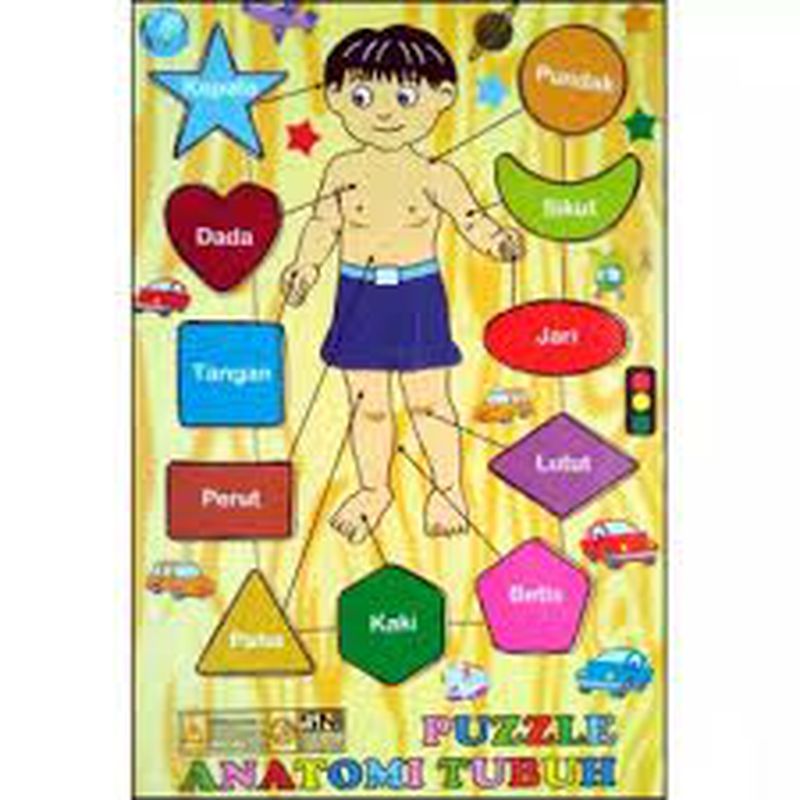 Puzzle Anggota Tubuh