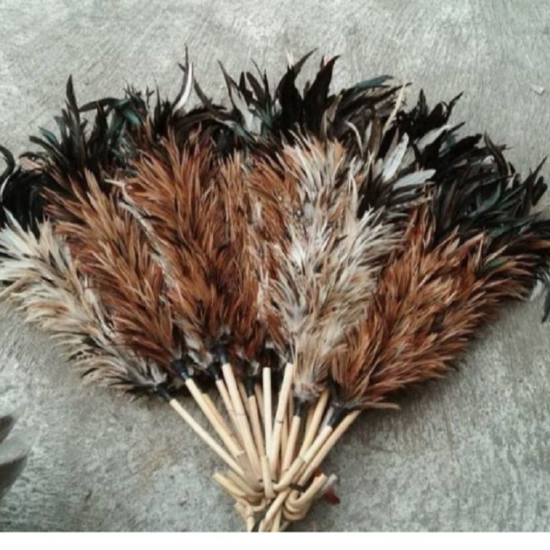 sapu bulu (bulu ayam)