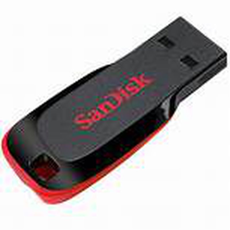 FLASHDISK SANDISK - 32 Gb