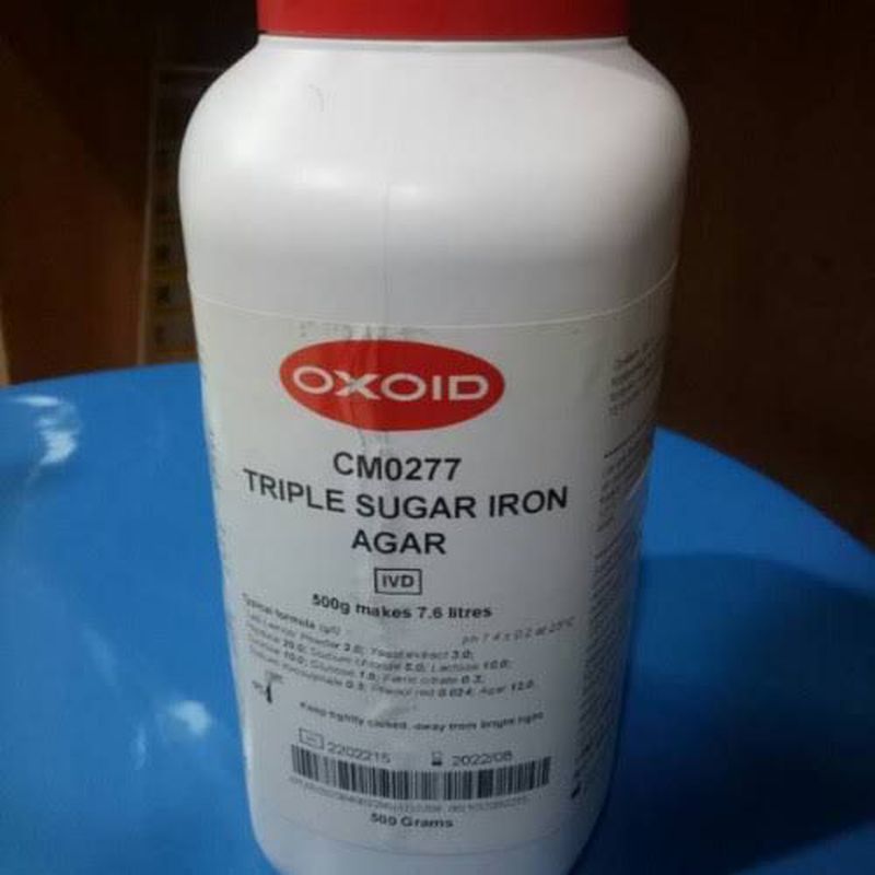 Triple Sugar Iron Agar
