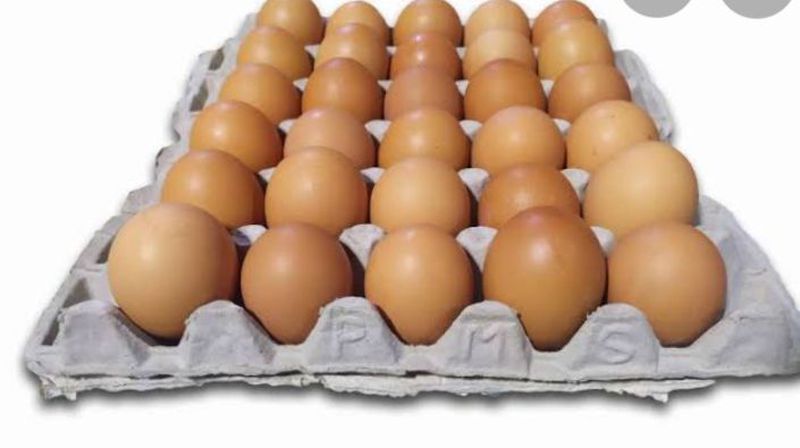 Telur - 1KG
