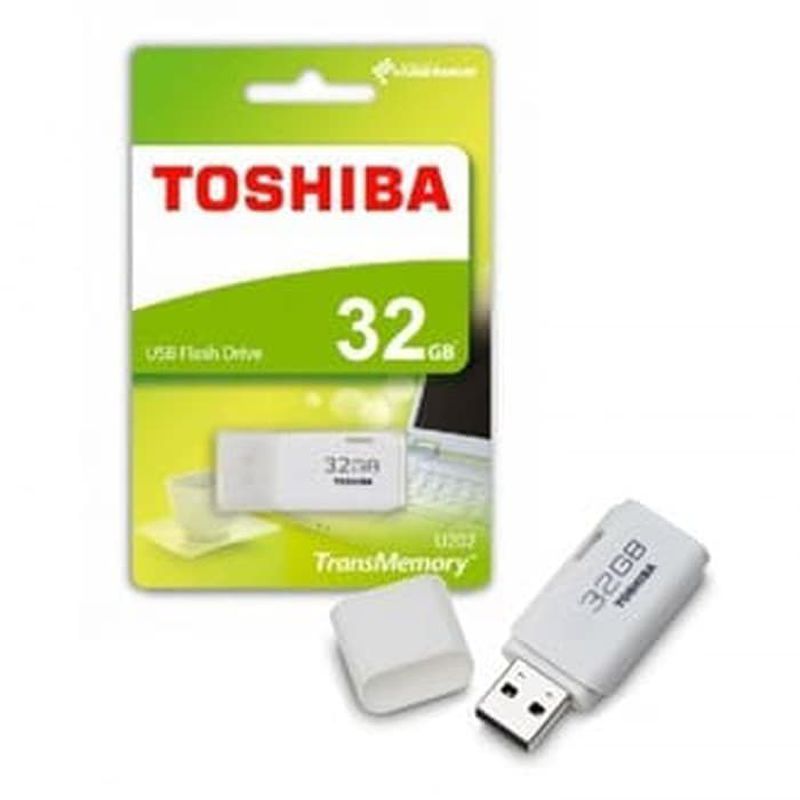 Flash Disk