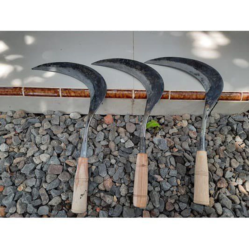 ARIT PEMOTONG RUMPUT