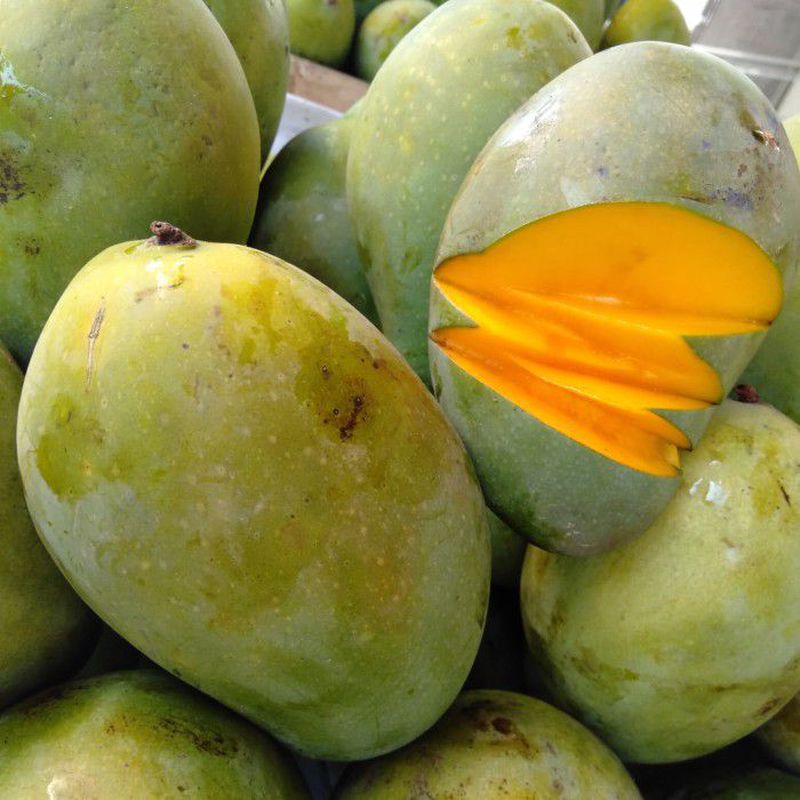Mangga