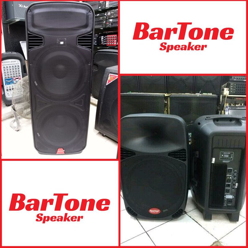 Speaker BareTone - 15 Inch