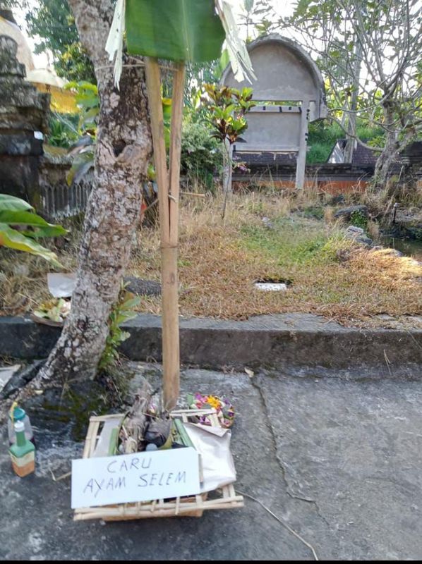 Banten Caru Ayam Selem