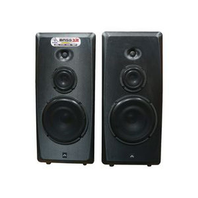 Active Speaker ROADMASTER BASS-12