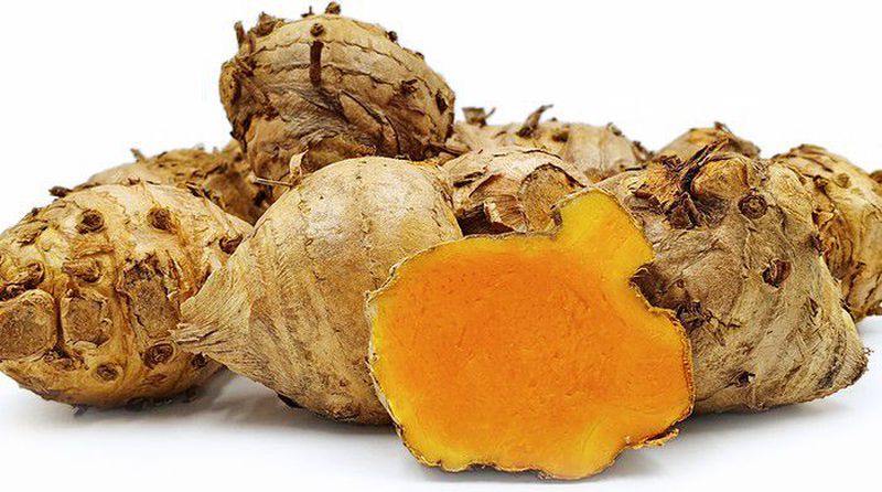 Rimpang Temulawak
