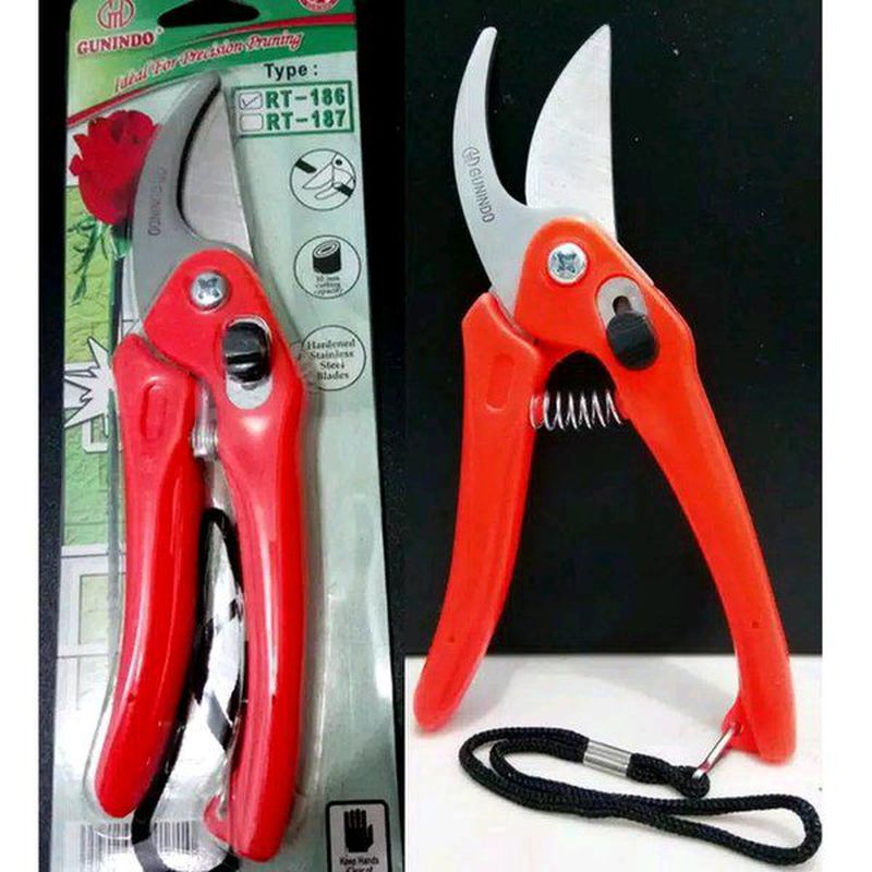 Gunting Ranting/Dahan