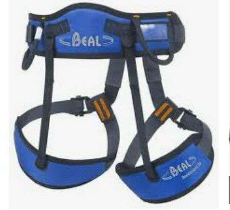 Harness