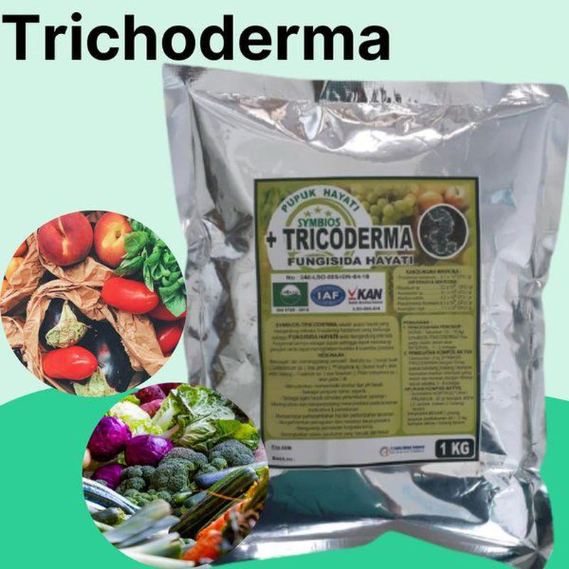 Pupuk Hayati Trichoderma Untuk Mengatasi Jamur Busuk Akar